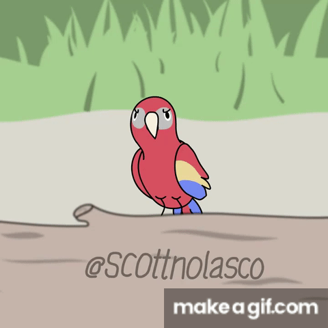 the guy who discovered that parrots can talk on Make a GIF