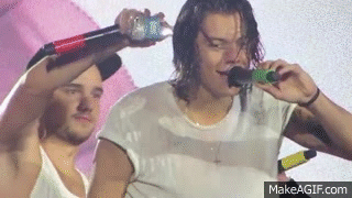 What Makes You Beautiful (Mostly Wet Harry) St. Louis 08/27/14 One Direction on Make a GIF