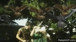 Birdemic-The most epic scene ever filmed on Make a GIF