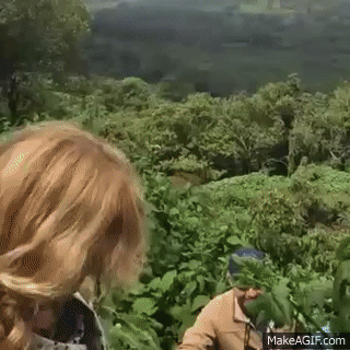 Hi Okay on Make a GIF