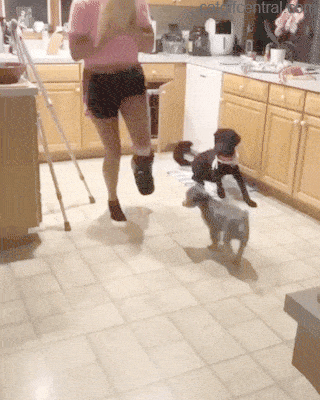 Limp Memes YARN | Before You Know It, You're Limp. | Saving Silverman