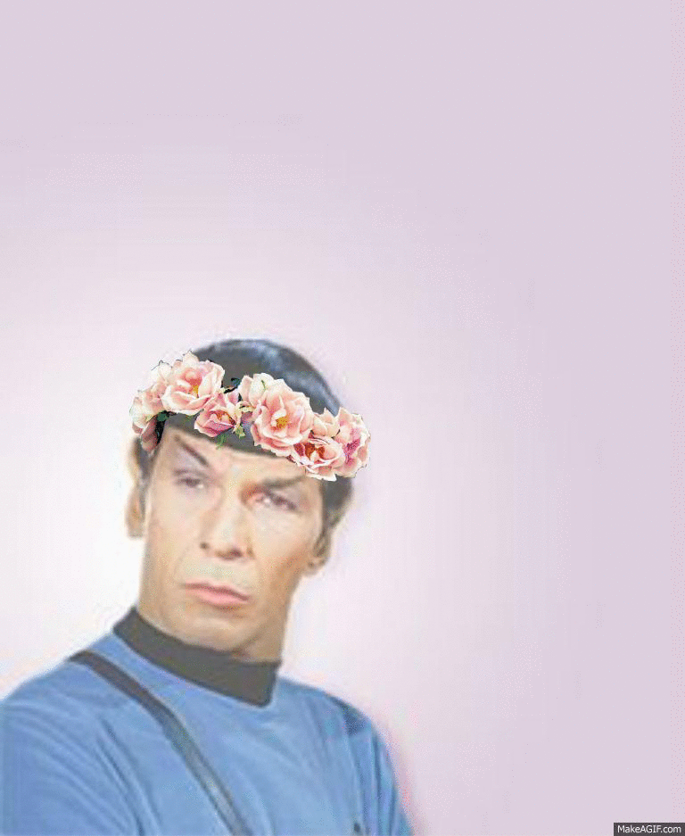 Spock Flower Crown on Make a GIF