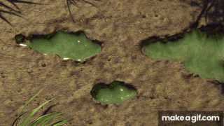 Shrek - All star | Intro HD (1080p) on Make a GIF