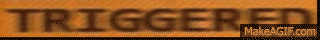 TRIGGERED - Animated Gif on Make a GIF