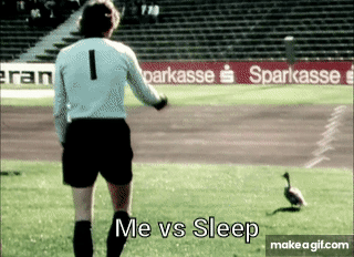 Me vs Sleep on Make a GIF