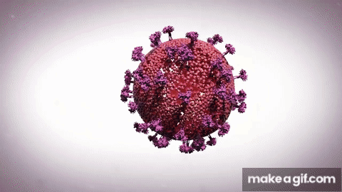 What is Human Immunodeficiency Virus (HIV)? on Make a GIF