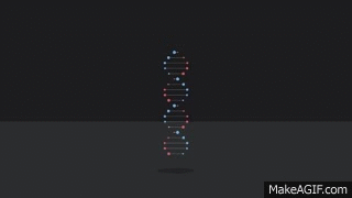 30. After Effects: DNA Dupla Hélice Giratório on Make a GIF