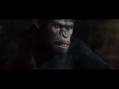 César dice NO - Caesar says No on Make a GIF