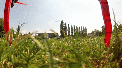 BIS 2015 Overview on Make a GIF