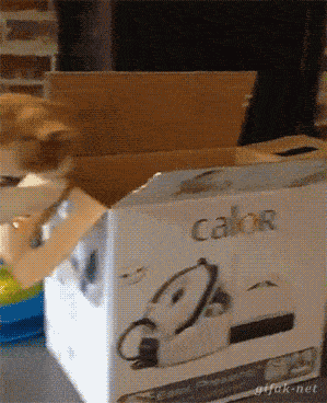 catgifcentral: Cat and box on Make a GIF