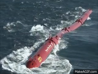 Pelamis at Aguçadoura on Make a GIF