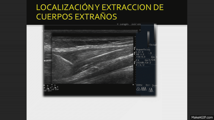 Gifs Extraños Naturalis Laat Alle Kanten Zien Van Gif | Trouw