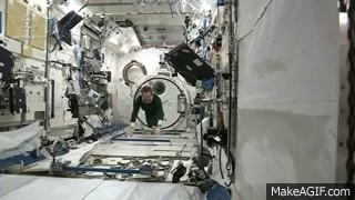 How Do Astronauts Sleep in Space? | CSA ISS Science HD Video on Make a GIF