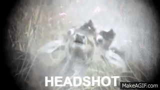 HEADSHOT on Make a GIF