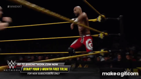 Ricochet: Tiger Feint Kick on Make a GIF