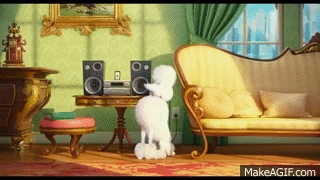 The Secret Life of Pets HEAVY METAL Poodle dog rock on Make a GIF