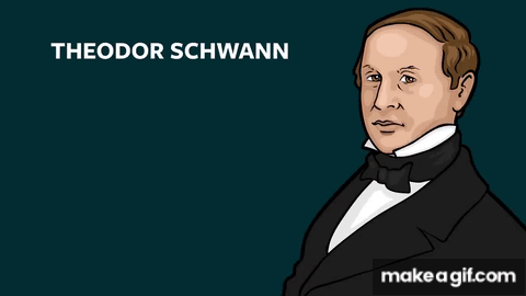 What Caused Life's Major Evolutionary Transitions? on Make a GIF