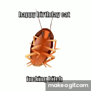 High Quality Spinning Dancing Roach Autotune - 10 Hours on Make a GIF