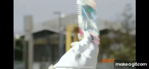 Tu on Make a GIF