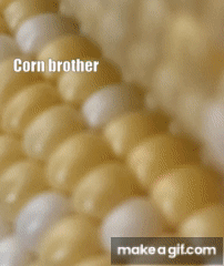 Corn brother on Make a GIF