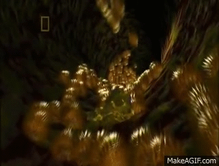 Esteróides Anabolizantes [Superhuman: Steroids] on Make a GIF