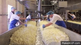 Cheese Making Process on Make a GIF