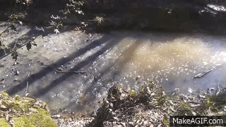 love Stream sparkles :) on Make a GIF
