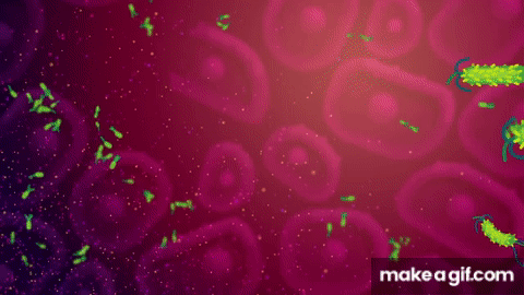 How The Immune System ACTUALLY Works – IMMUNE on Make a GIF
