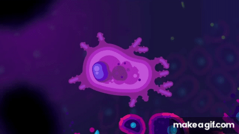 How The Immune System ACTUALLY Works – IMMUNE on Make a GIF