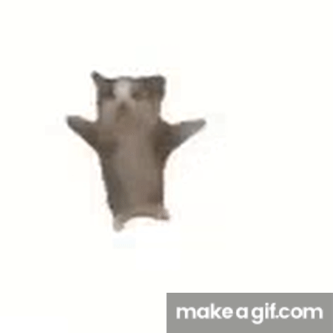 yippee on Make a GIF