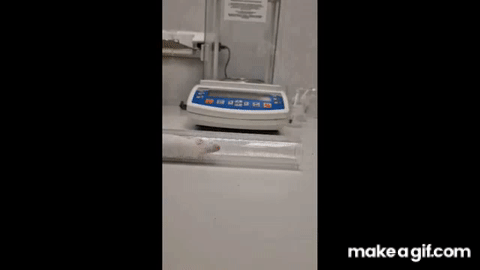 Chimney test for measuring motor coordination in mice. on Make a GIF