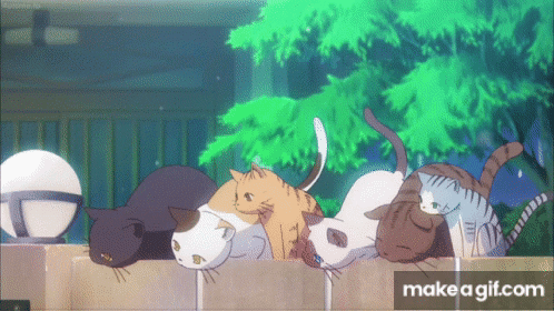 Cat Cats GIF - Cat Cats Anime - Discover & Share GIFs on Make a GIF