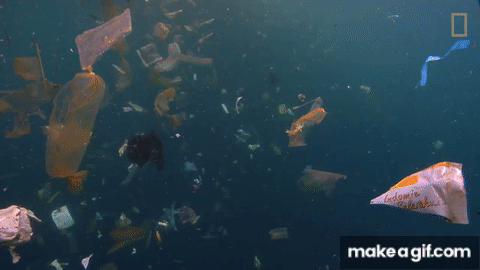 How We Can Keep Plastics Out of Our Ocean | National Geographic on Make ...