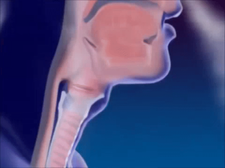 Oxygen transport presentation on Make a GIF