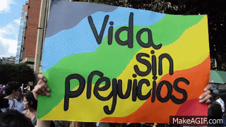 MARCHA LGBTI 2015 ORGULLO GAY BOGOTA GAY PRIDE on Make a GIF
