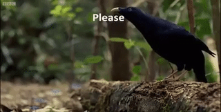 Lemme Smash 1 (Original) on Make a GIF