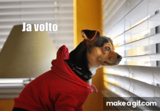 Ja volto on Make a GIF