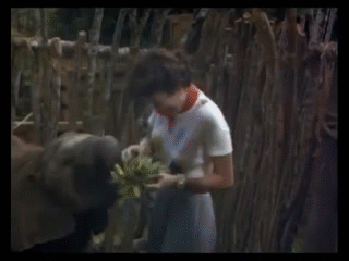 The Best of Ava Gardner in Mogambo on Make a GIF