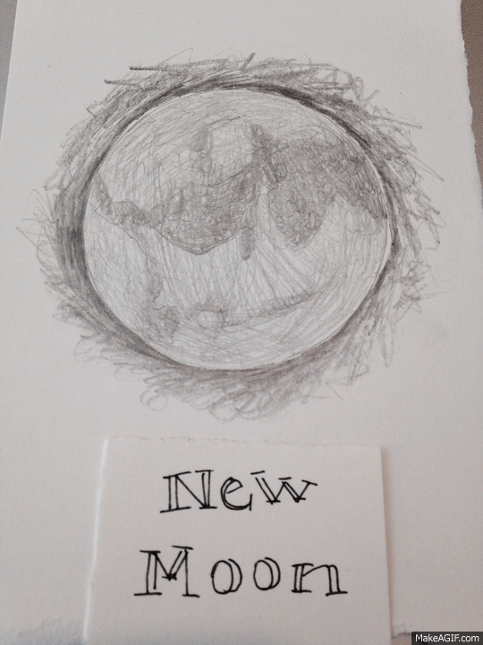 Phases of the Moon on Make a GIF
