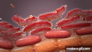 TECHNOLOGY 311 PATENT: restores the skin barrier on Make a GIF