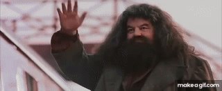 Harry Potter Gun goodbye wave on Make a GIF