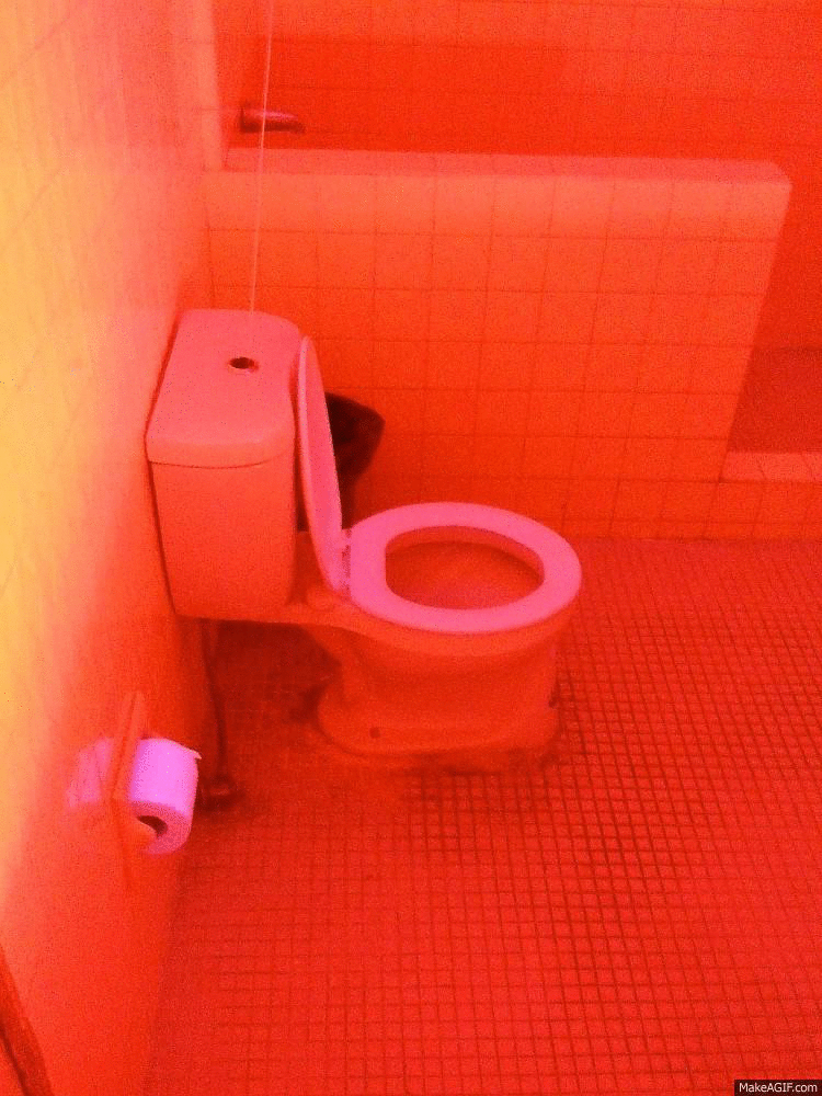 TOILET SCENE on Make a GIF