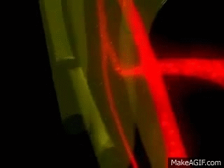 Video 3D: filtrado glomerular y formacion de la orina on Make a GIF