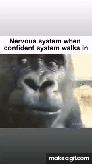 Nervous System when Confident System walks in: on Make a GIF