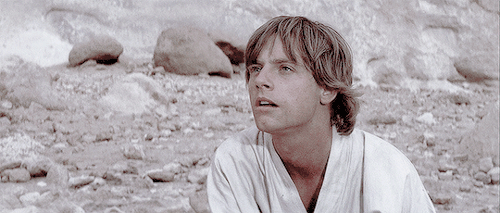 celcbrimbor: @swnet favourite characters event → luke... on Make a GIF