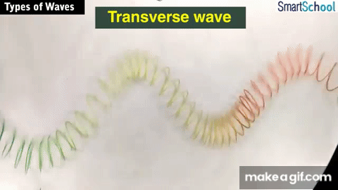 Transverse Wave Gif