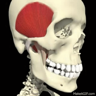 atm movimiento lateral on Make a GIF