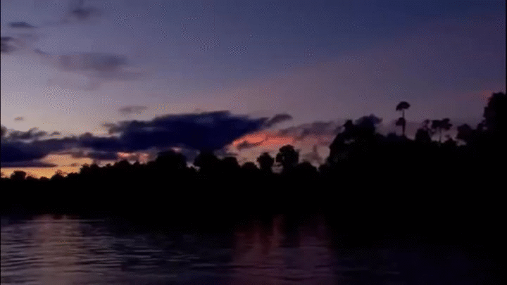 Animal Planet Channel 2015 | Wild Life Documentary | Wildlife ...