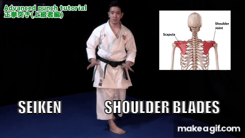 Punch stronger and faster! Advanced Tutorial for Seiken-zuki (Straight ...