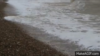 Shingle beach formation on Make a GIF